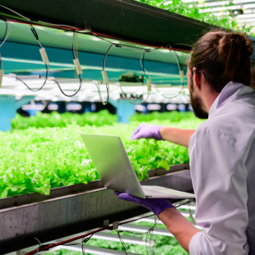 Harnessing Data for Growth: The Rise of Greenhouse Data Loggers Harnessing Data for Growth: The Rise of Greenhouse Data Loggers